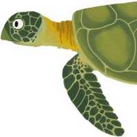 Talks – Ciaran A. J. O'Hare